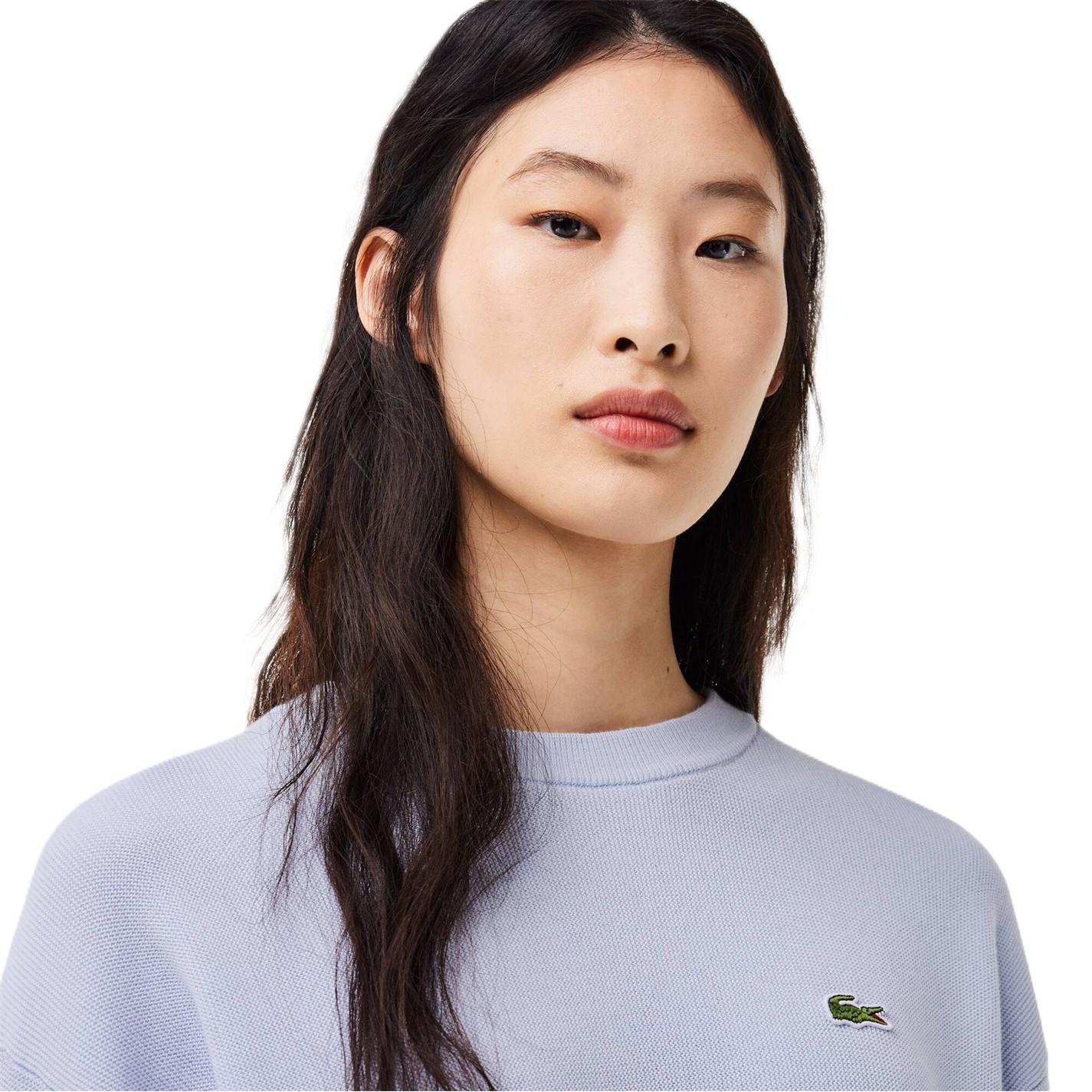 Lacoste | Organ Sweater | Crew Sweaters | FRASERS