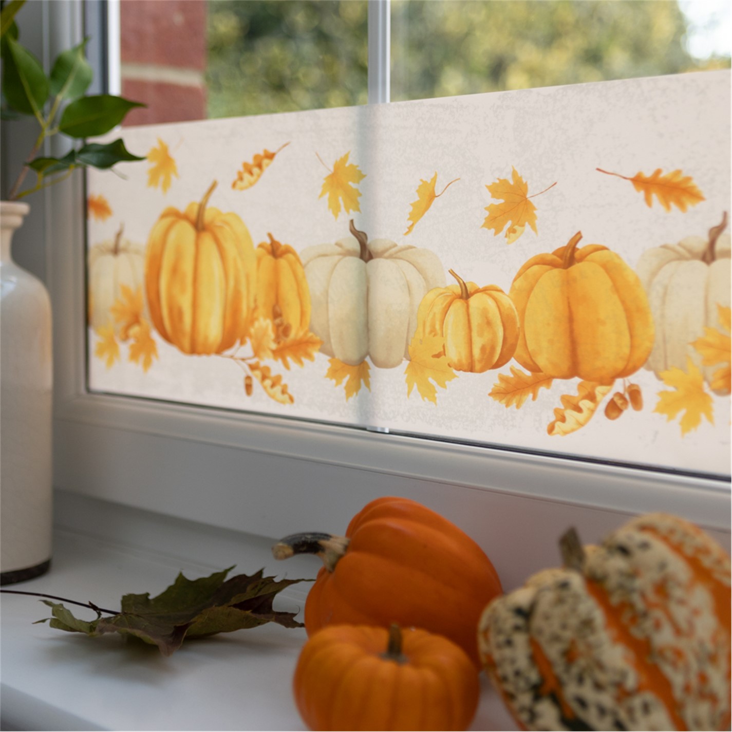 D C Fix | dc fix Pumpkins Window Film Border | Orange | FRASERS