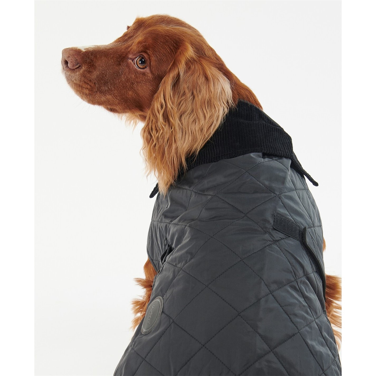 Barbour | Quilted Dog Coat with Tartan Lining | Dog Coats | FRASERS