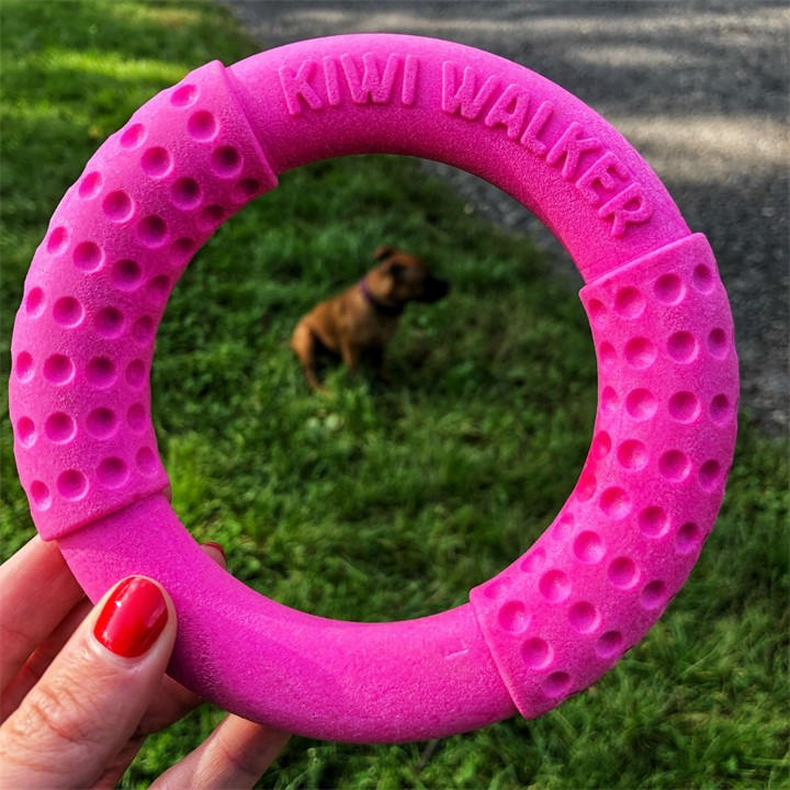 Kiwi Walker | Mini Ring Dog Toy Set | Blue | FRASERS