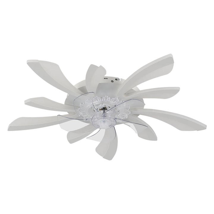 Cottonfy UK | 78cm Creative Ceiling Fan with LED Lights | White | FRASERS