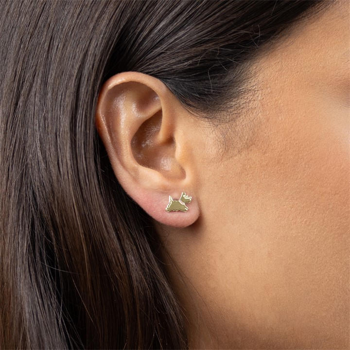 Radley | Gp Dog Earng Ld99 | Gold | FRASERS