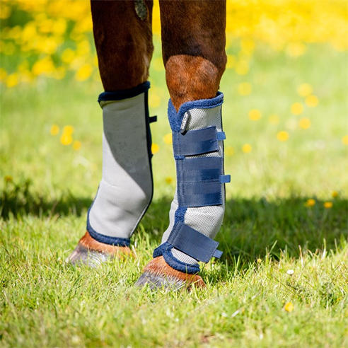 Equestrian Sale | FRASERS